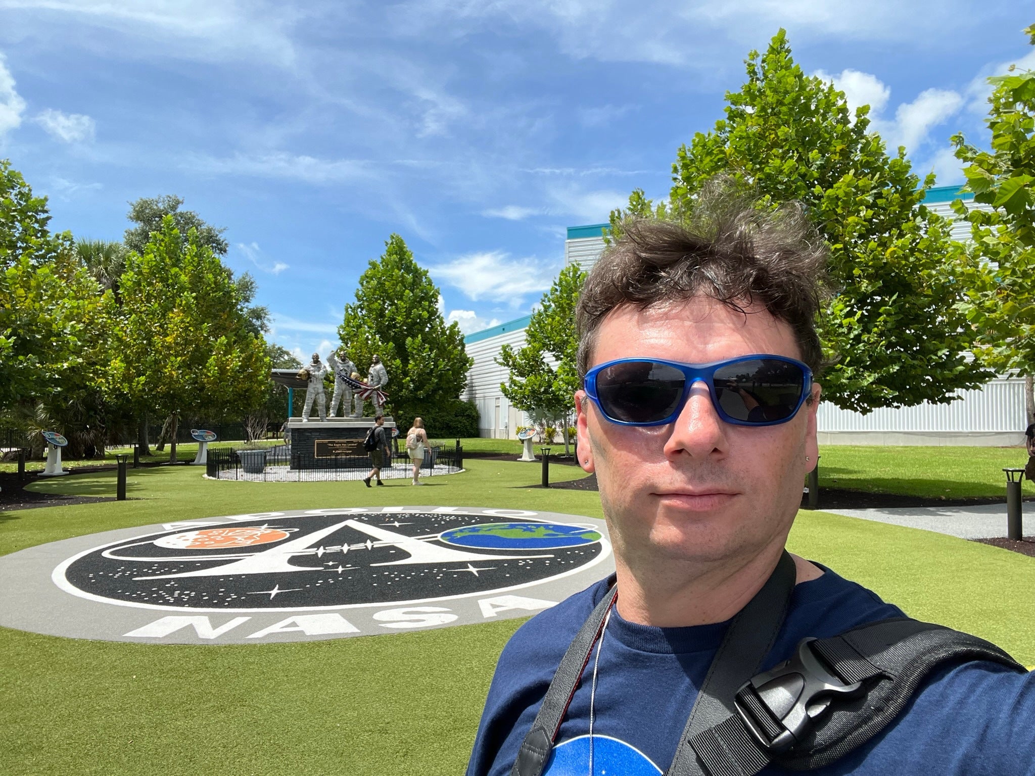 American Sycamore Moon Tree Platanus occidentalis 100 Seeds USA Compan ...